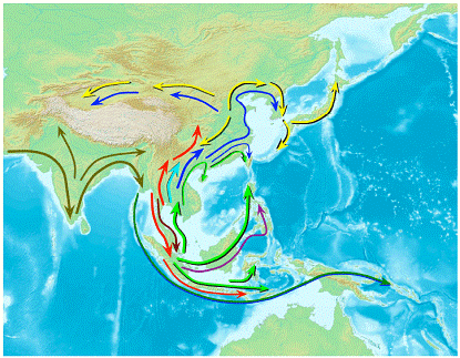 Sundaland | Sundaland: Cradle of Civilizations