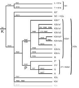 Sundaland | Sundaland: Cradle of Civilizations
